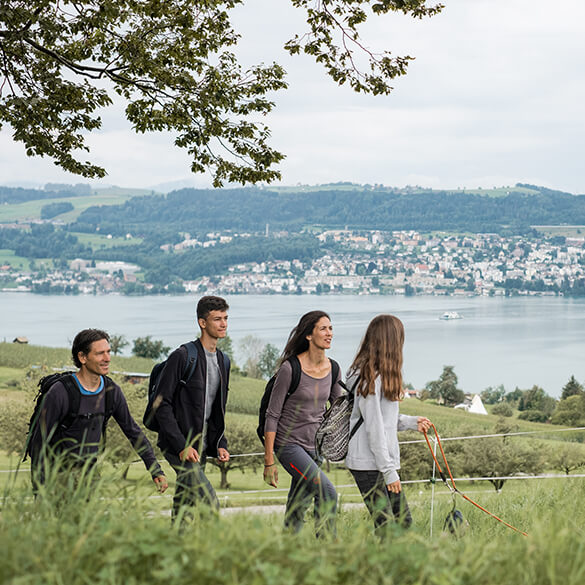 Zürich Tourismus - cptr - engaging people